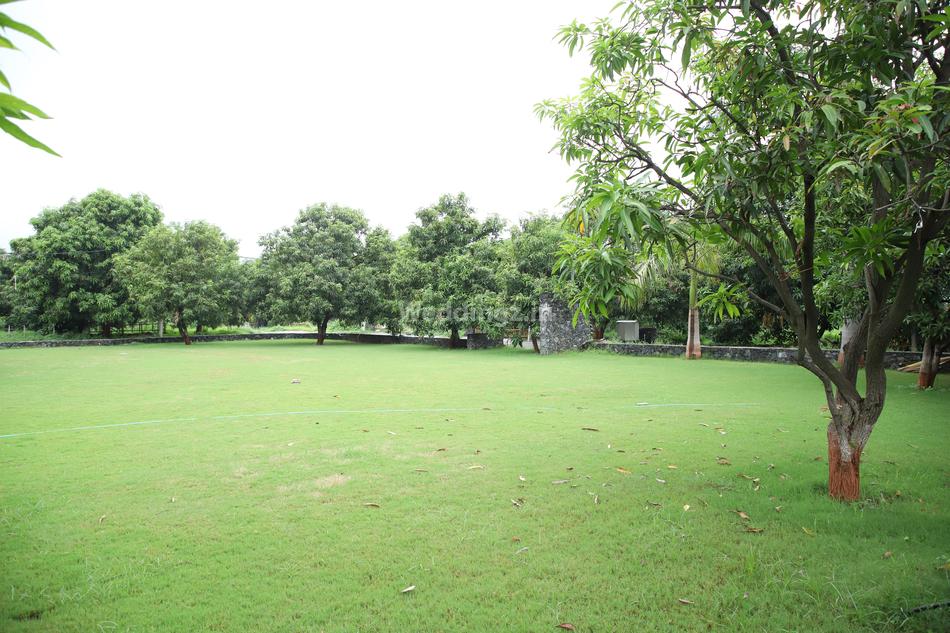 The Mango Orchard Resort Halol-Vadodara Road, Baroda | Banquet Hall ...