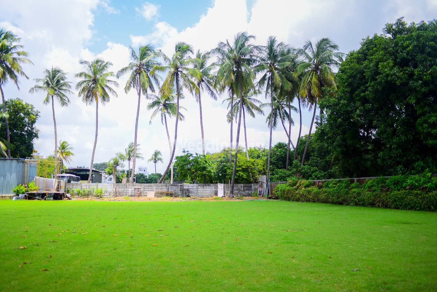 Avsar Farm Katargam, Surat | Wedding Lawn | WeddingZ.in