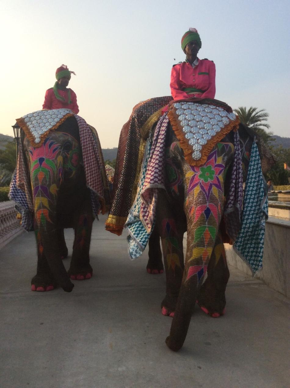 Sajawat, Wedding Planner in Model Town, Delhi | WeddingZ