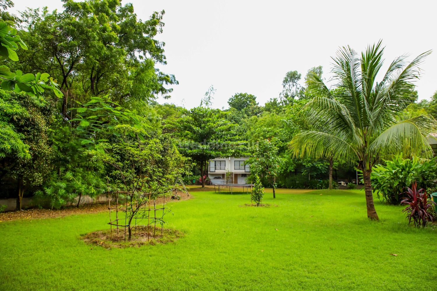 Riparian Resort Ajwa Road, Baroda | Banquet Hall | Wedding Lawn ...