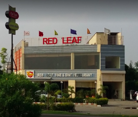 Red Leaf Fine And Dine Restaurant Gill Road, Ludhiana | Banquet Hall ...