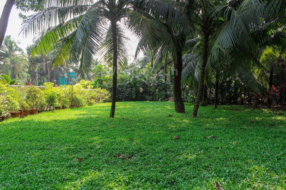 Golden Toff Bhayander West, Mumbai | Wedding Lawn | Wedding Hotel ...