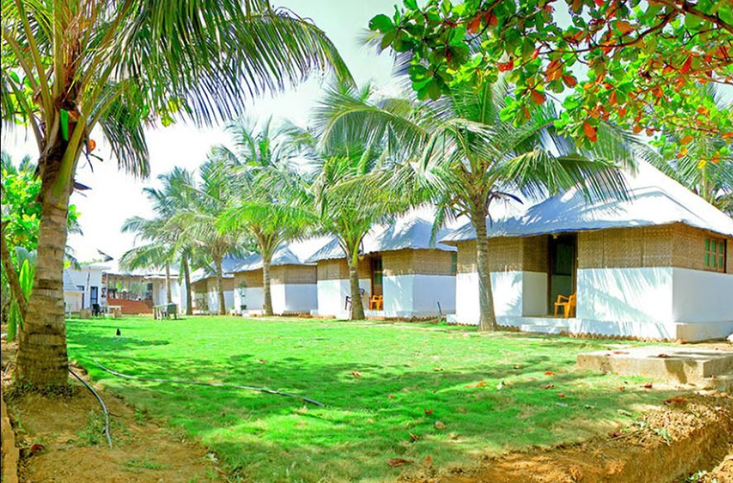 Coco Resort Morjim, Goa | Wedding Lawn | Wedding Hotel | WeddingZ.in