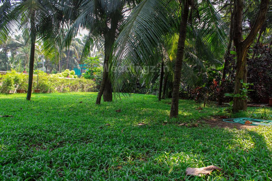 Golden Toff Bhayander West, Mumbai | Wedding Lawn | Wedding Hotel ...