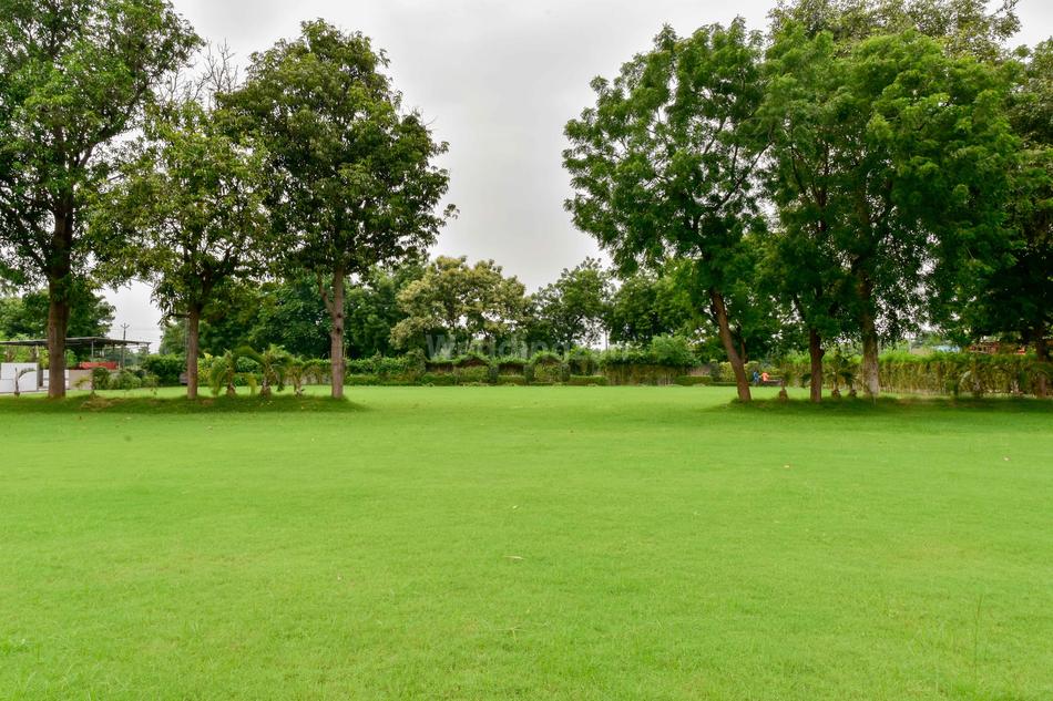 Krishna Greens Party Plot Koba, Gandhinagar | Wedding Lawn | WeddingZ.in
