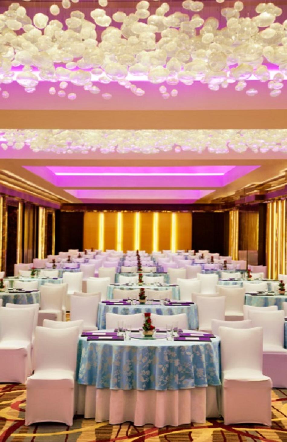 Radisson Blu Plaza Mahipalpur, Delhi | Banquet Hall | Wedding Lawn ...