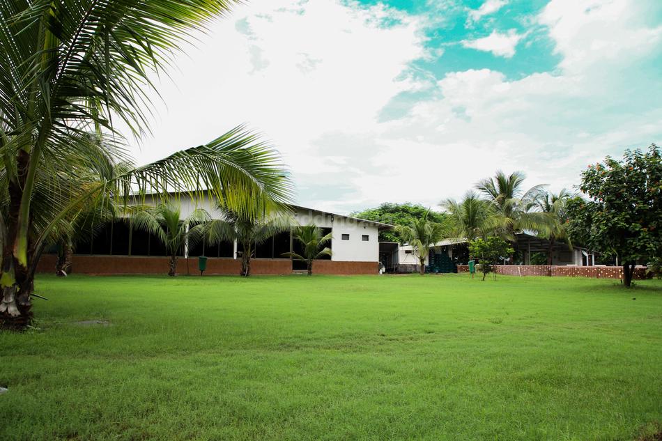 Riparian Resort Ajwa Road, Baroda | Banquet Hall | Wedding Lawn ...