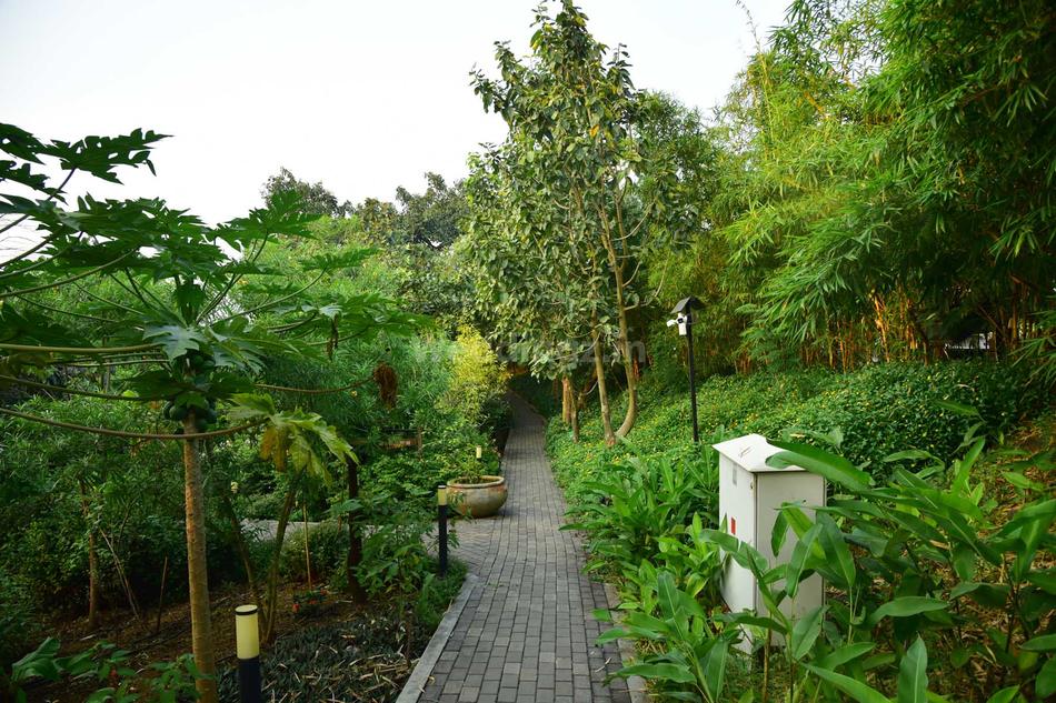 Grape County Resort Trimbak Road, Nashik | Banquet Hall | Wedding Lawn ...